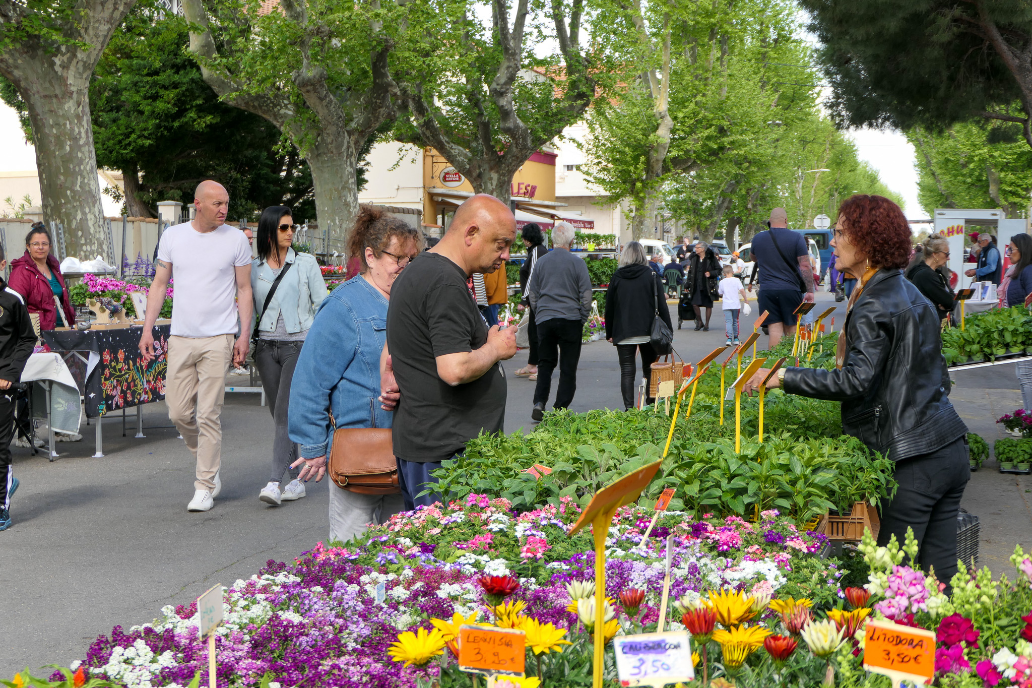 Retour en image sur le dimanche fleuri – Port Saint-Louis-du-Rhône