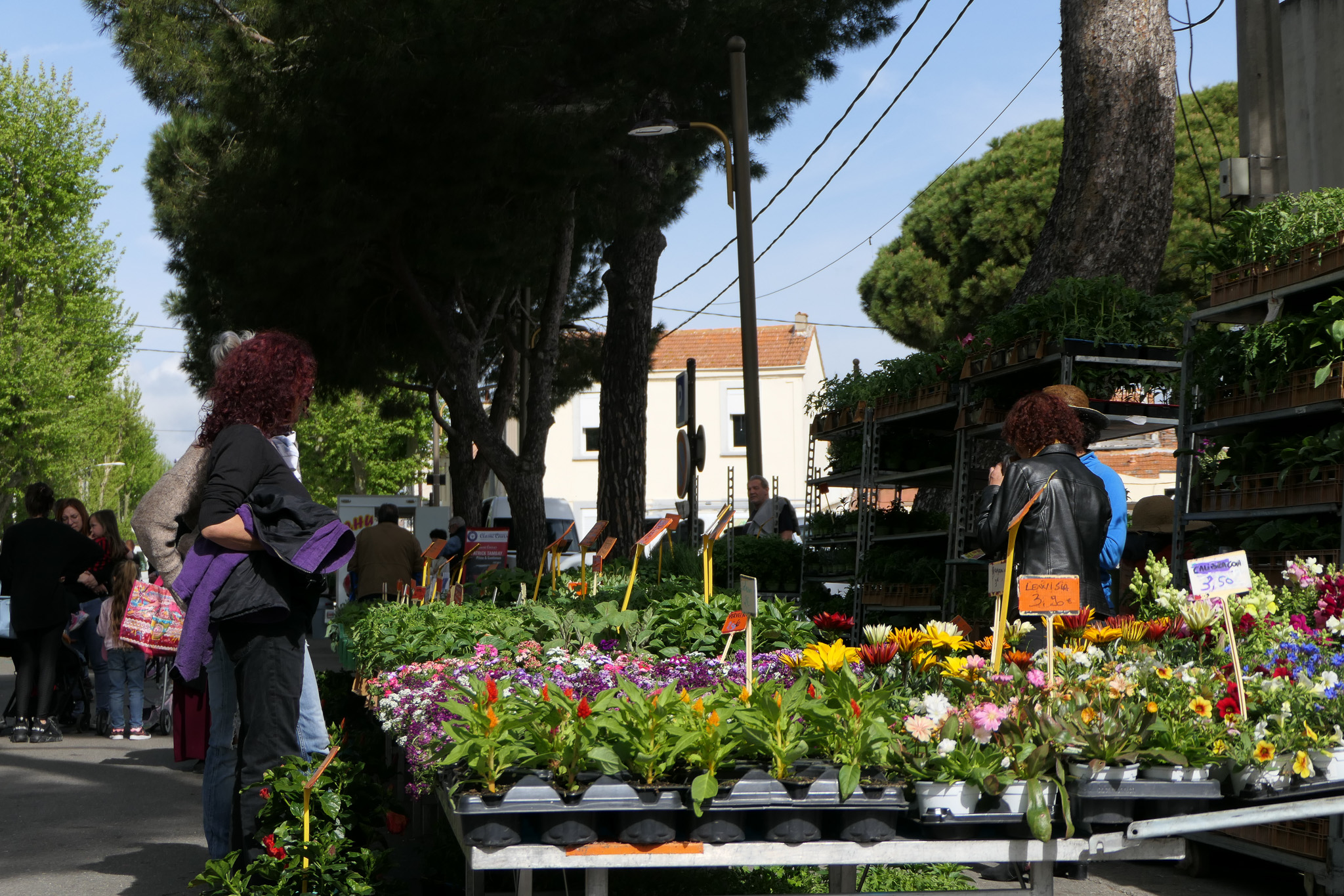 Retour en image sur le dimanche fleuri – Port Saint-Louis-du-Rhône