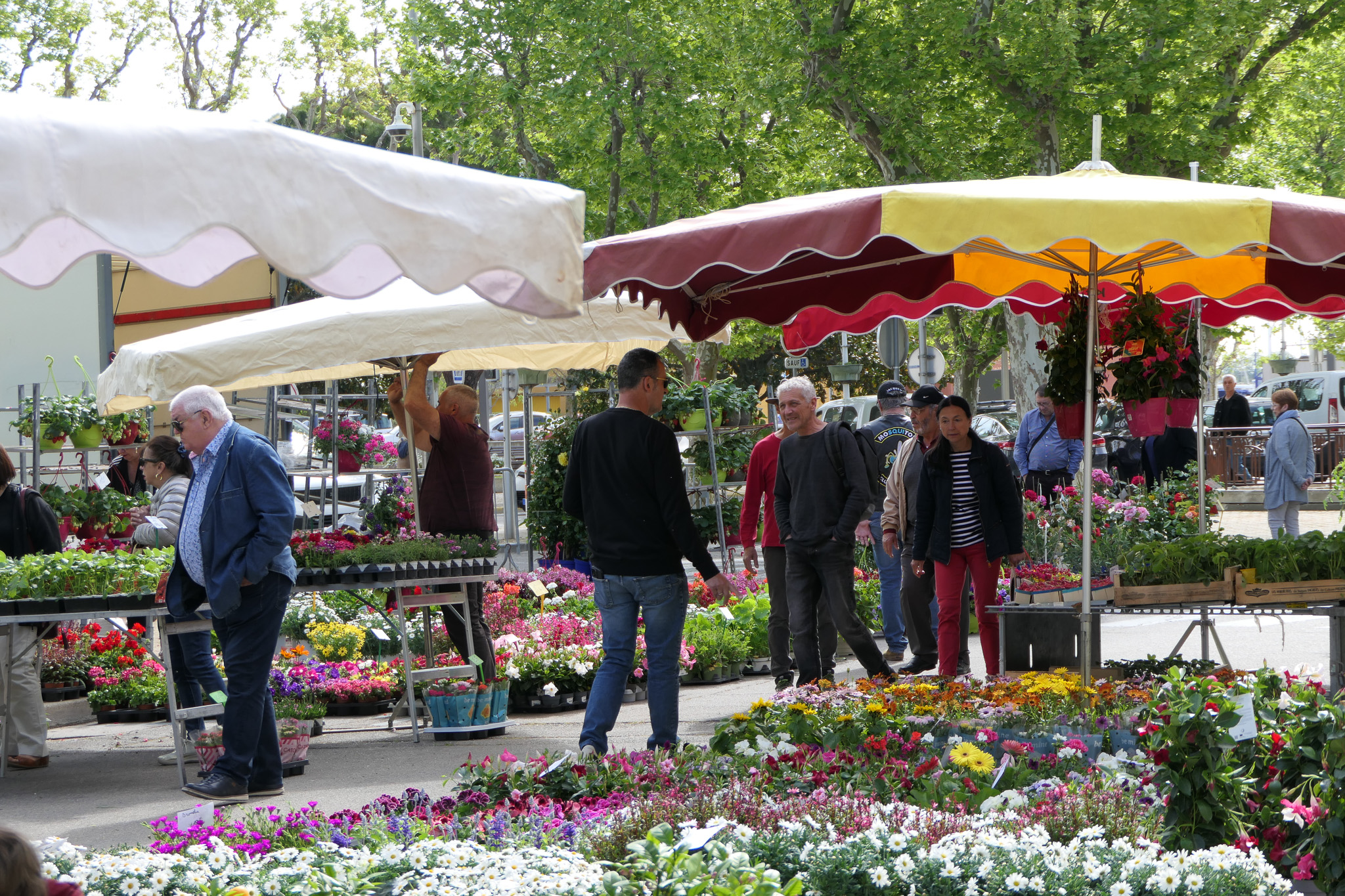 Retour en image sur le dimanche fleuri – Port Saint-Louis-du-Rhône