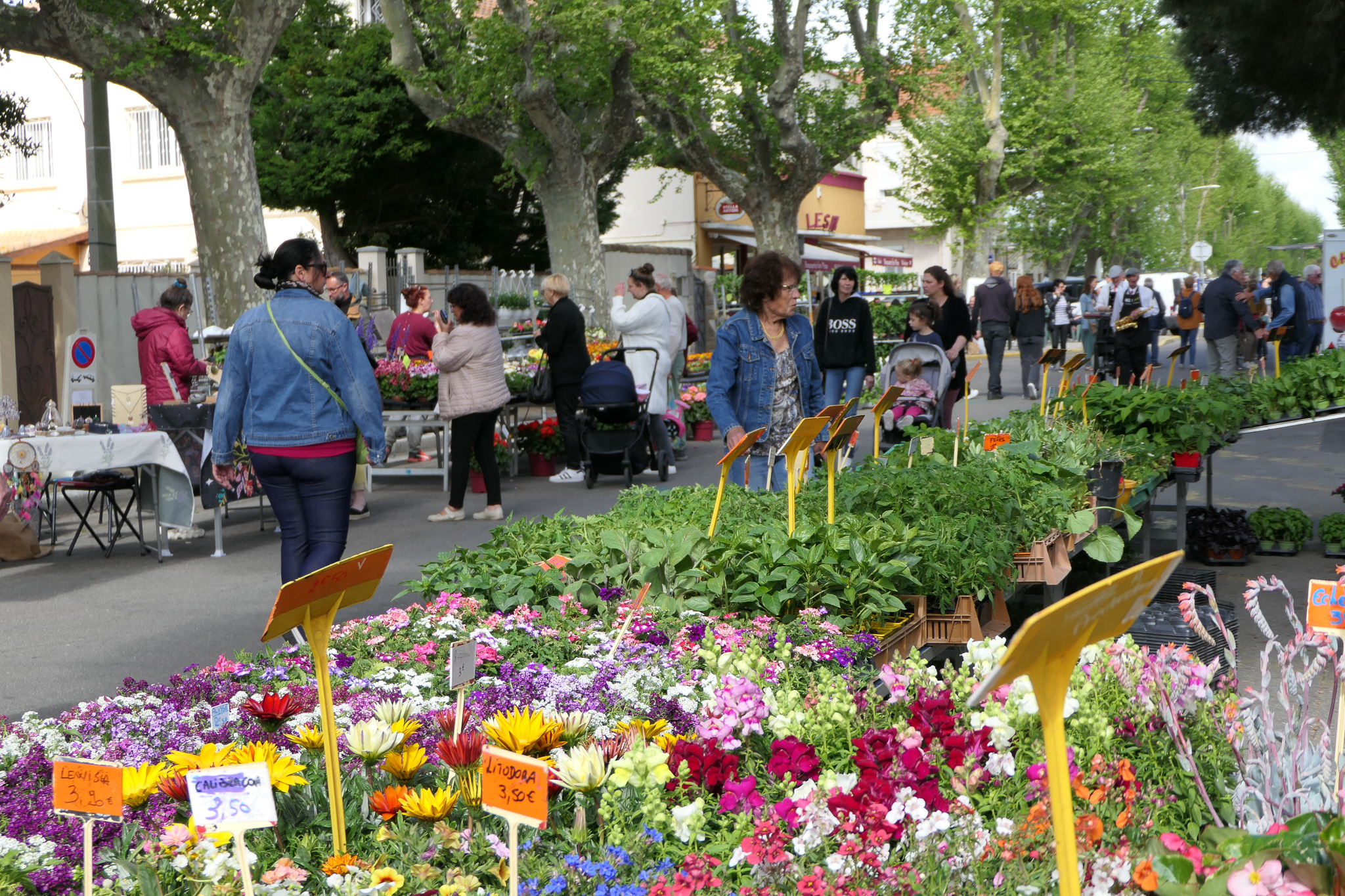 Retour en image sur le dimanche fleuri – Port Saint-Louis-du-Rhône